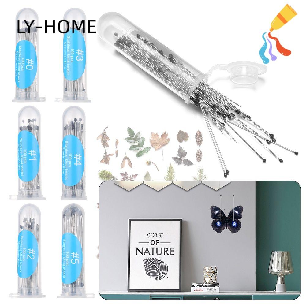 LY 100 ชิ้น Pin Sharp Tip Lab อุปกรณ์เสริม Entomology ตัวอย่าง Pins ...