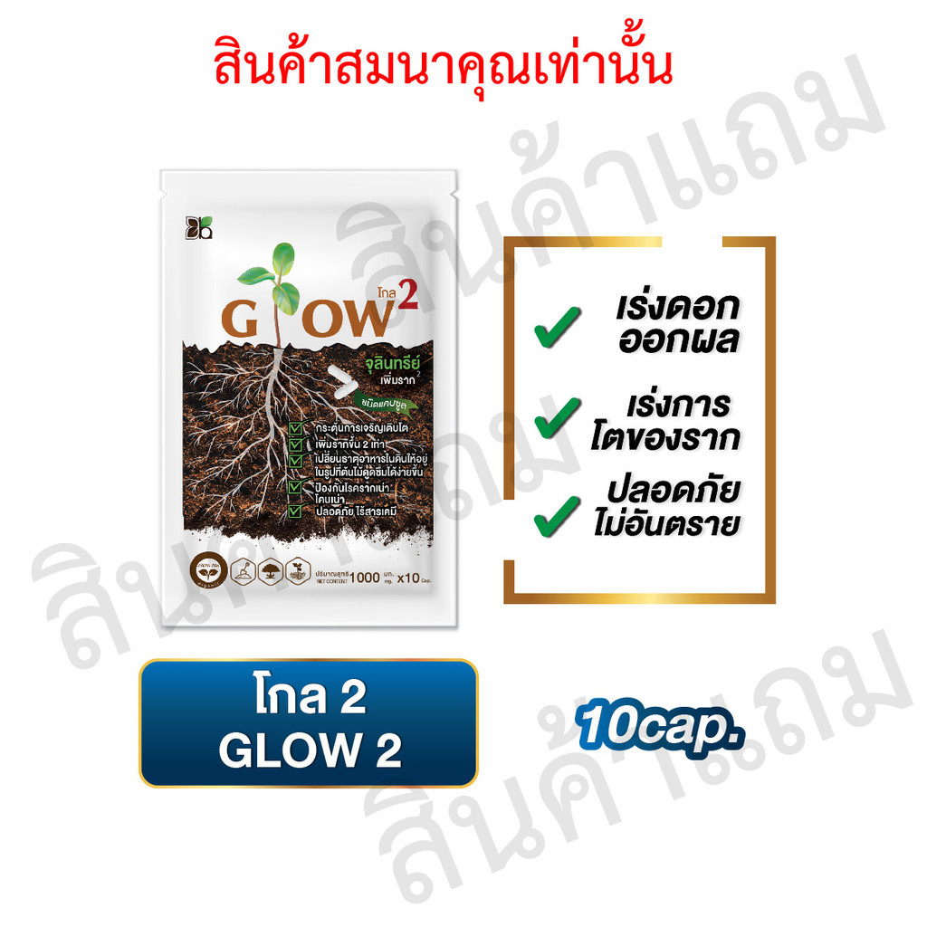 *สินค้าสมนาคุณ Glow2 จุลินทรีย์เร่งราก เร่งใบ (ไม่ได้ขายค่ะ) | Shopee ...