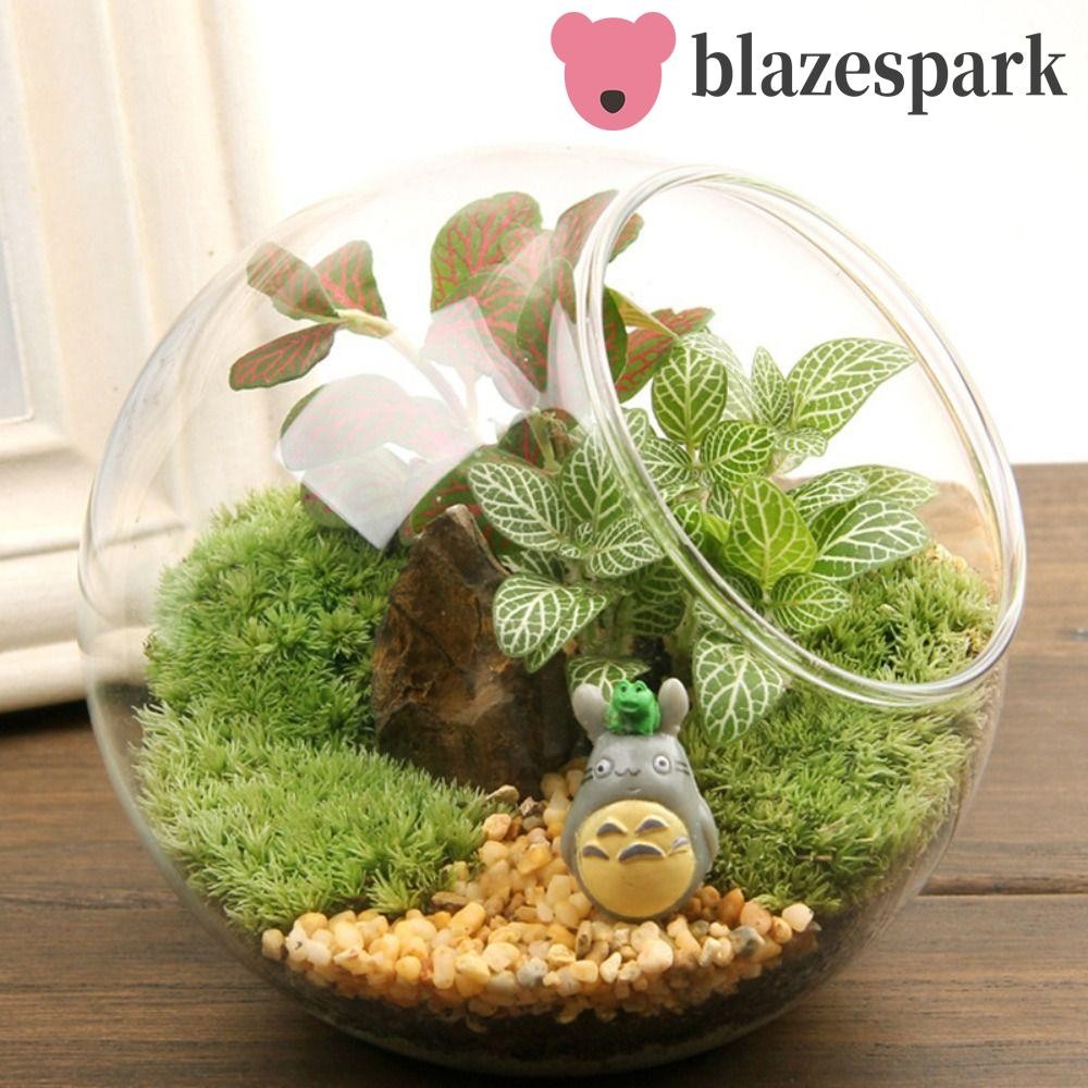 BLAZESPARK แจกันแก้วใส, แจกันแก้ว Borosilicate ใส, ที่วางแก้ว 8/10/12/16 ซม. แก้ว Borosilicate ...