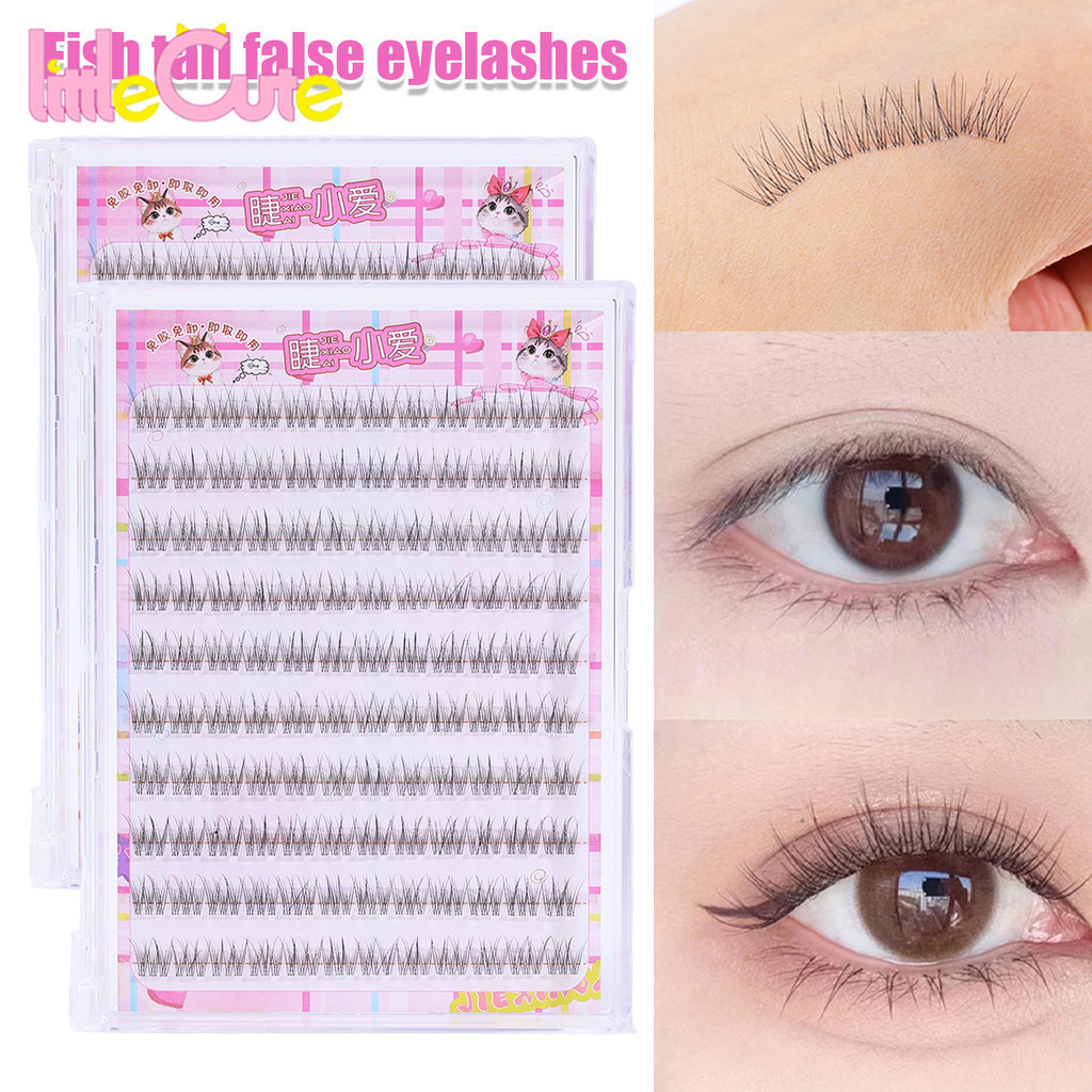 [แต่งหน้า]ขนตาคลัสเตอร์เดี่ยวกาวตนเอง - ปราศจากกาว Segmented Fish Tail ...