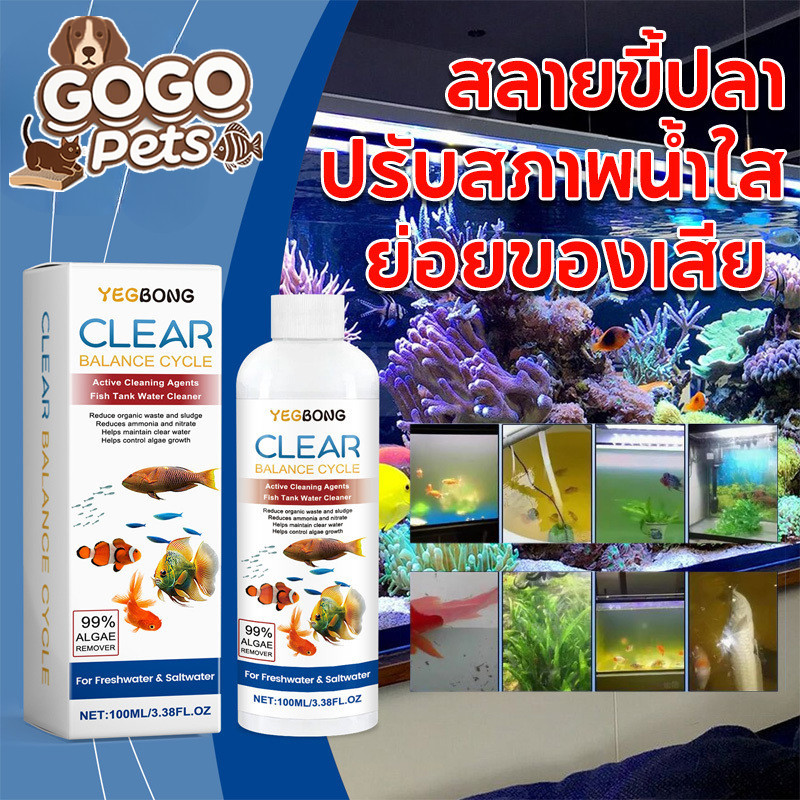 QQ PET สลายขี้ปลา ปรับสภาพน้ำใส ย่อยของเสีย ลดกลิ่น ลดตะไคร่ ลดความ ...