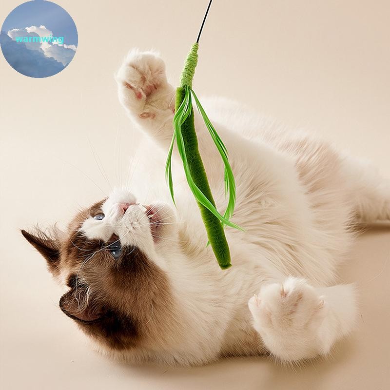 Warmwing Cat Teasing Stick กัดยาว Pole Self Soothing เครื่องมือสุนัข Sage Feather หางหญ้าของเล่น ...