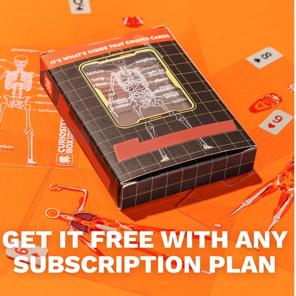 The Body Deck Cards Anatomy เล่นไพ่ 3D เกมการเรียนรู้การศึกษาตลกสําหรับ ...