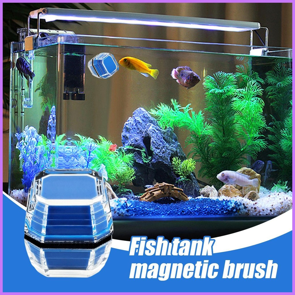 Magnetic Fish Tank Cleaner Aquarium Cleaner แม่เหล็กไม่มีกล่องตกปลาลอย ...