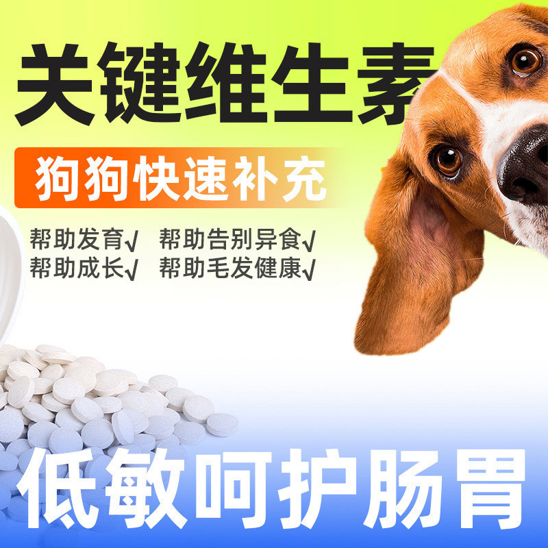 Dilisa Dog Vitamin Tablets 200 แคปซูล/ขวด อาหารเสริมสําหรับสัตว์เลี้ยง ...