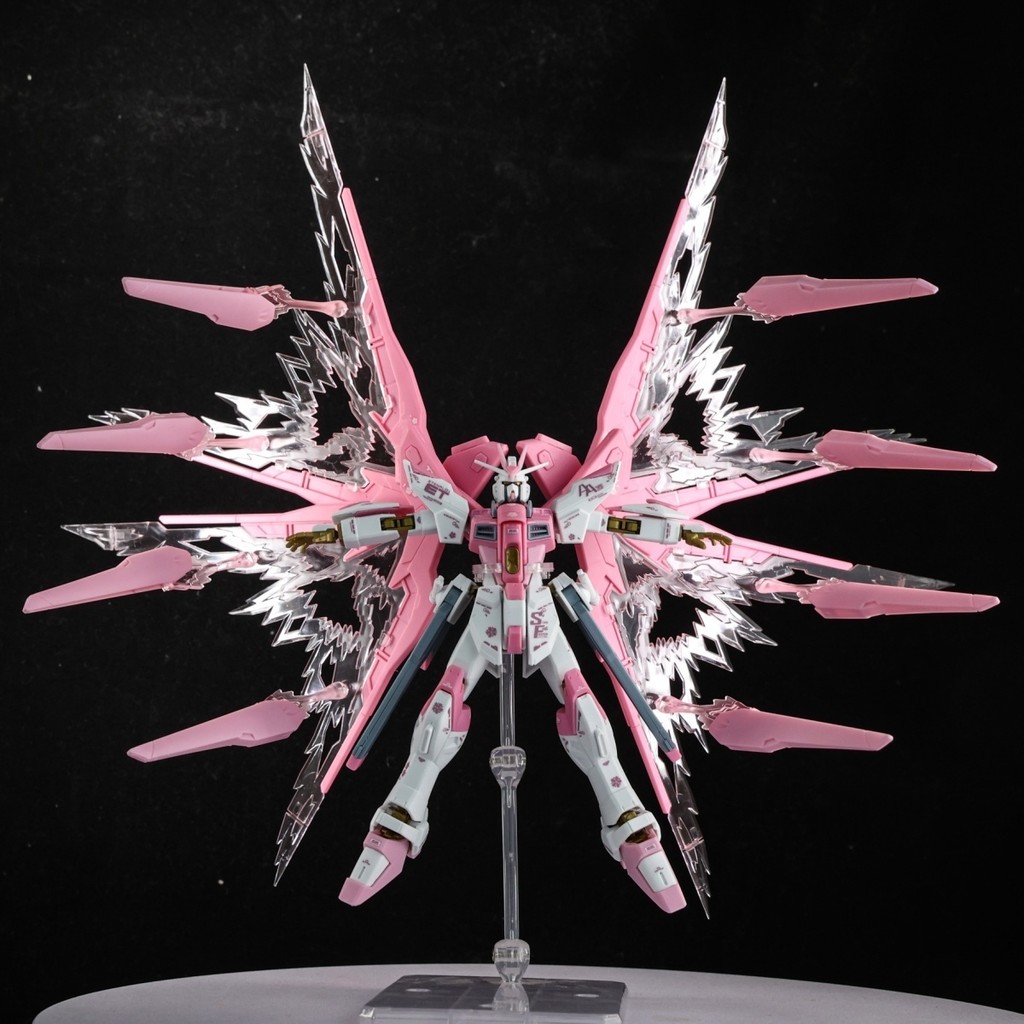 GAOKE HG 1/144 Cherry Blossom Color Matching ทารกแรกเกิด Strike Freedom ...