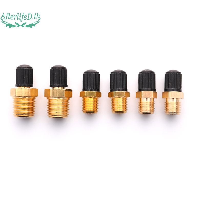 AF 2 ชิ้น M10/1/8/1/4 NPT MPT ทองเหลือง Air Compressor ถังเติมวาล์ว Double Head A | Shopee Thailand