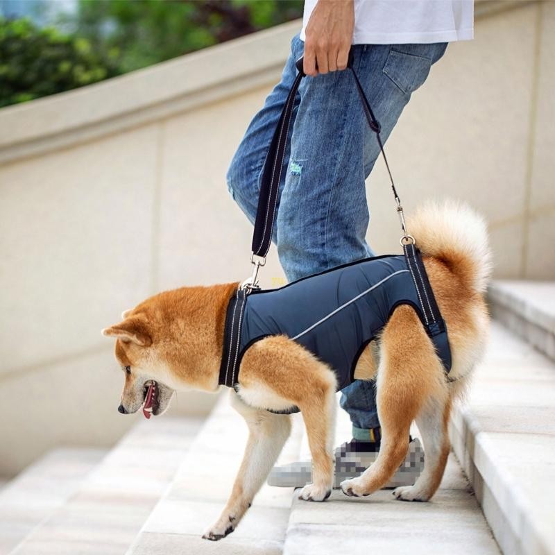 Yu Dogs สายรัดรองรับขา สายรัดยกทั้งตัวสําหรับผู้สูงอายุสุนัขพิการที่ ...