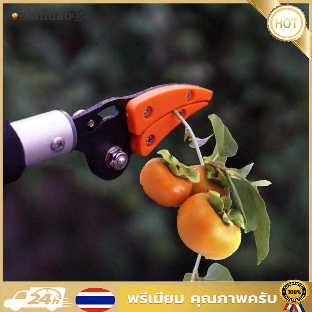ผลไม้ Picker Gripper Tree เครื่องตัดยาวเสาจับ, เครื่องมือทําสวนเรือน ...