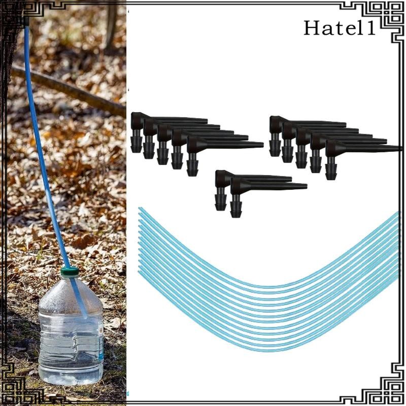 [Hatel] 12 ชุด Maple Syrup Tree Tapping Kit Sugaring Starter Taps ท่อ ...