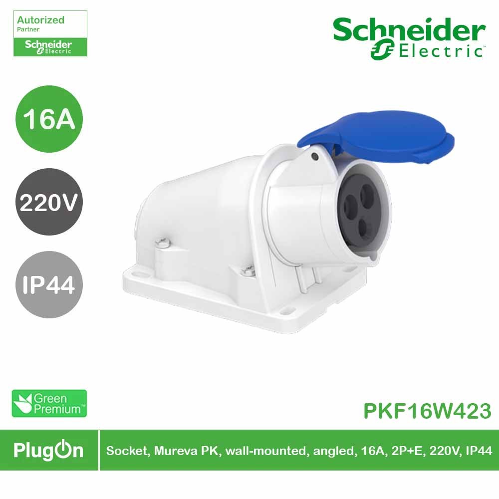 Schneider Socket, Mureva PK, wall-mounted, angled, 16A, 2P+E, 220V ...