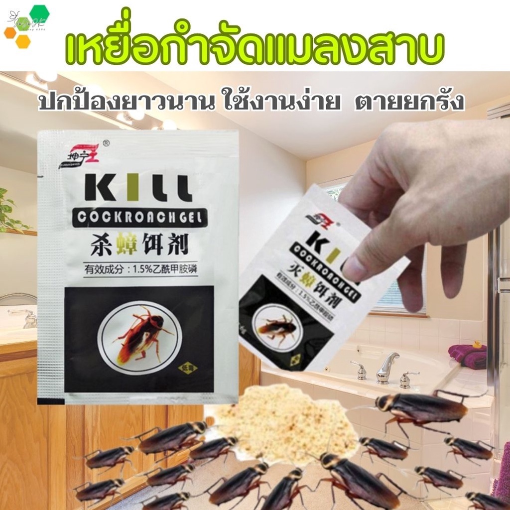 วิธีกำจัดแมลงสาบ ฆ่าแมลงสาบในท่อระบายน้ำ ยาเบื่อแมลงสาบ ส่งด่วน ...