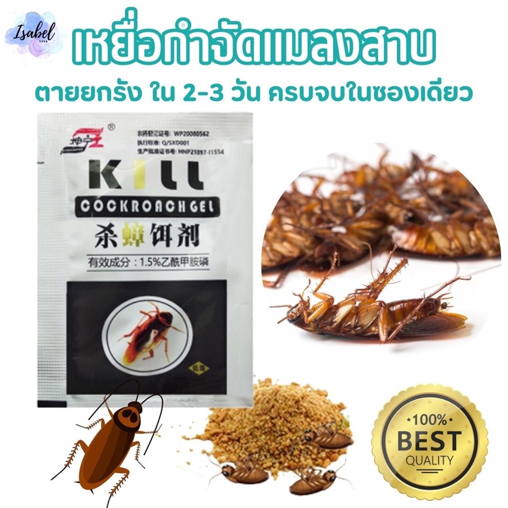 กำจัดแมลงสาป ยาฆ่าแมลงสาบออกจากห้อง วิธีกำจัดแมลงสาบ ส่งด่วน ...