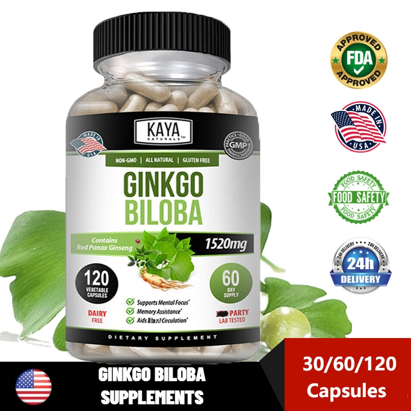 MEGA Ginkgo Biloba extract 1520mg สารสกัดจากใบแปะก๊วย สมอง และความทรงจำ ...