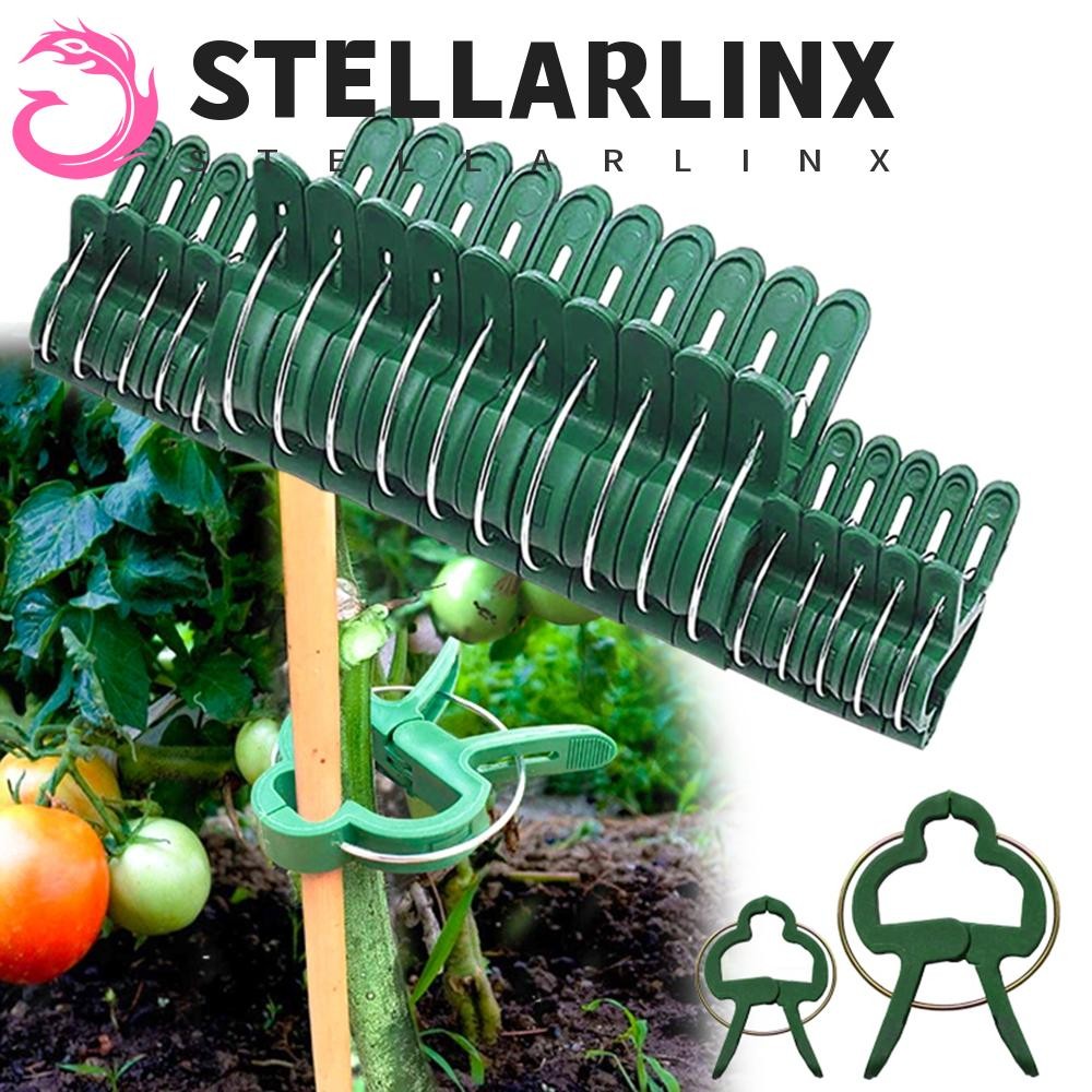Stellarlinx พืชคงที่ Clamp Grafting Stem Fastener Vine สนับสนุน Stakes ...