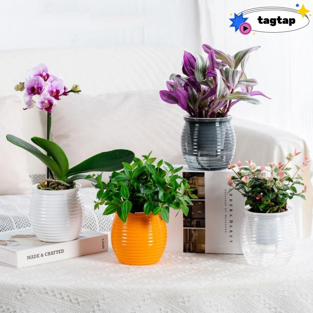 Tagtap กระถางต้นไม้แบบน้ําเอง,พลาสติกโปร่งใสเดสก์ท็อปกระถางดอกไม้,ตก ...