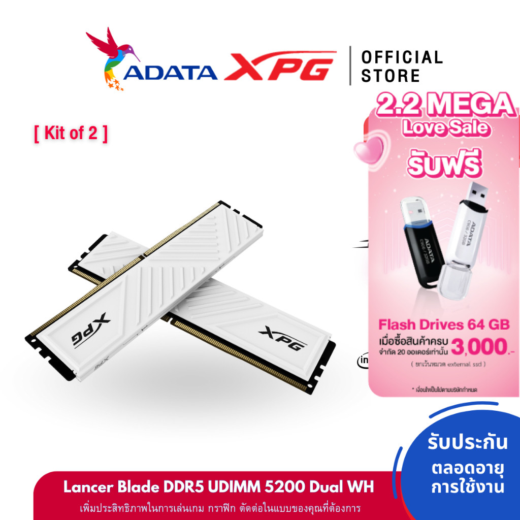XPG เเรม PC รุ่น LANCER DDR5 UDIMM 5200 8GB/16GB Duel - White ...