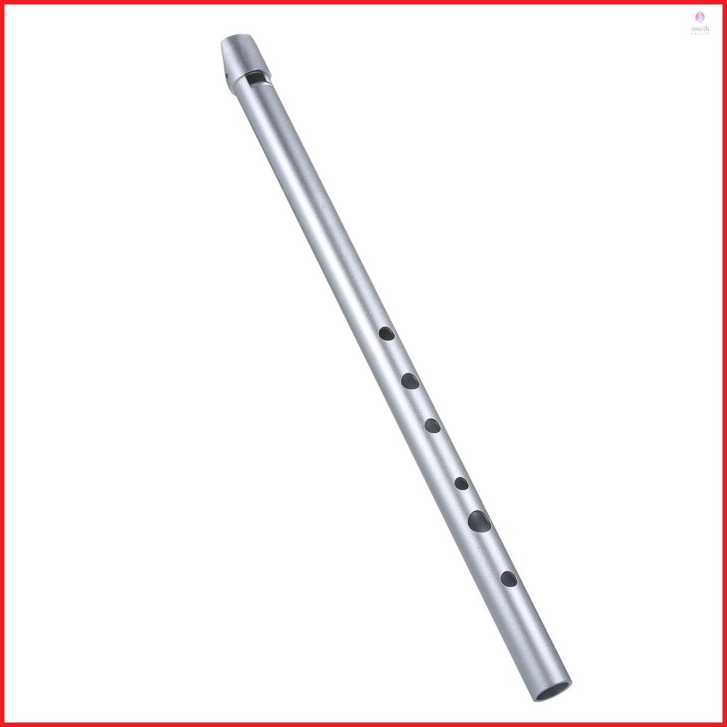 Versatile Irish Whistle - Traditional Tin Penny Flute for Beginners ...