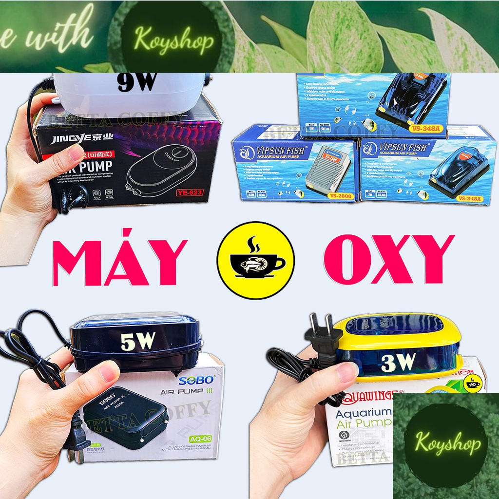 Oxy Vipsun 248A 348A 9500 Gex air 1000 2000 4000 1-2 หัวฉีดออกซิเจน aerator พร้อมสายฟู่ 6 เดือน ...