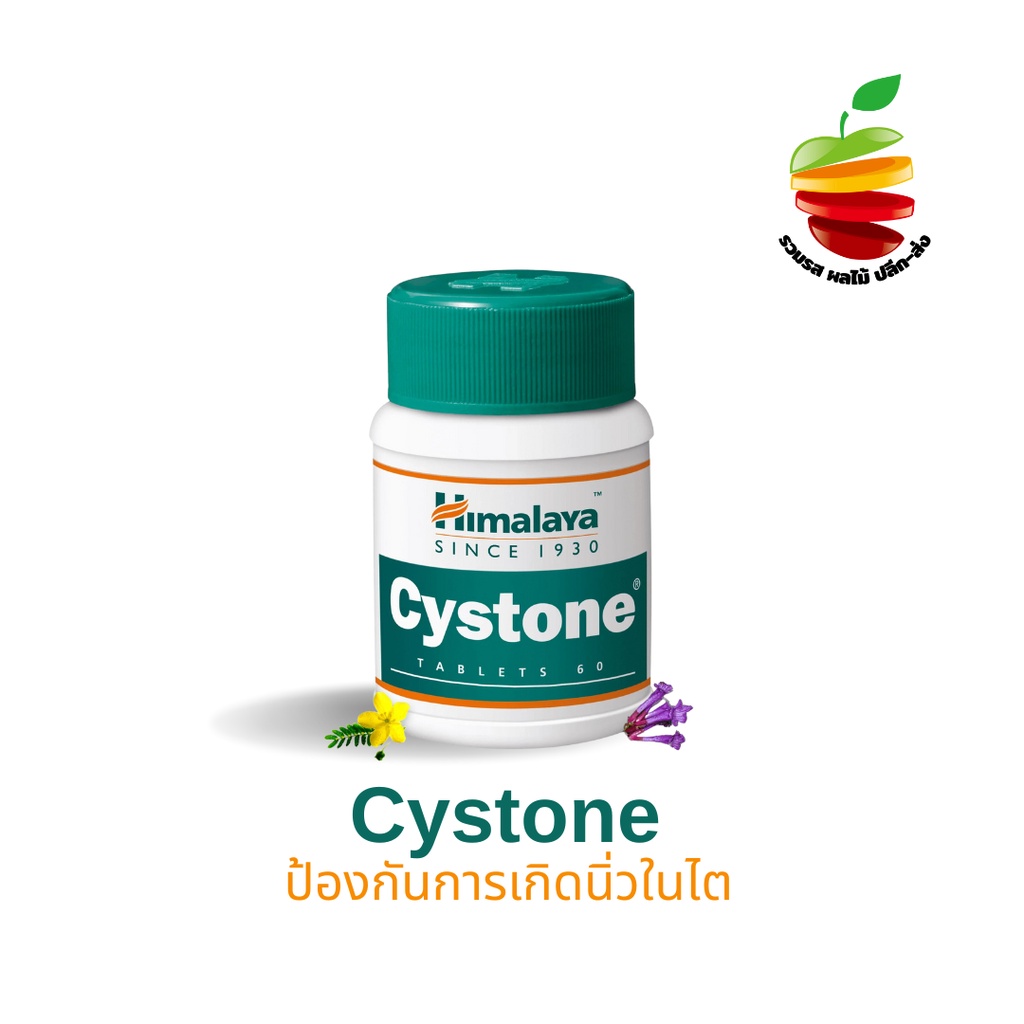 Cystone อาหารเสริม ดีท๊อคไต | Shopee Thailand