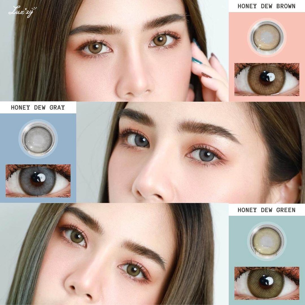 คอนแทคเลนส์(มินิ) Honey Dew Brown / Gray / Green (Luxzylens) ⭐️ลายฮิต ...