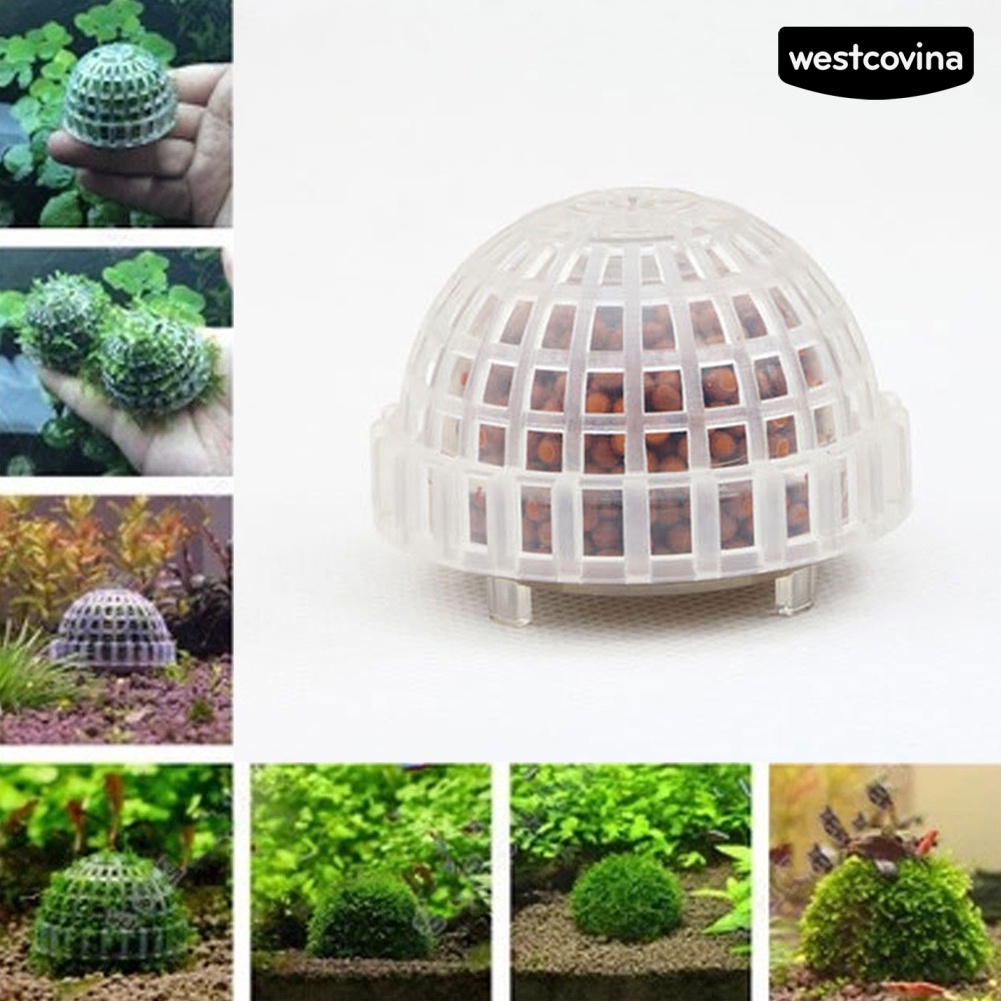 [COD]♞Marimo ลูกบอลมอส กรองน้ํา สําหรับตู้ปลา กุ้ง พืชน้ํา | Shopee Thailand