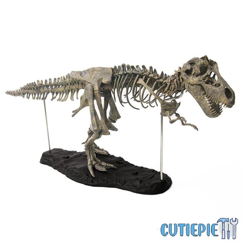 Cutiepie Vivid Dinosaur Skeleton Miniature Trex รูปรางวัลนักเรียนของ ...