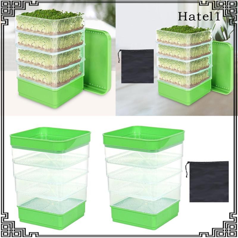 [Hatel] ชุดเมล็ดอเนกประสงค์ Microgreens ถาดปลูกงอกเมล็ดในร่ม | Shopee ...