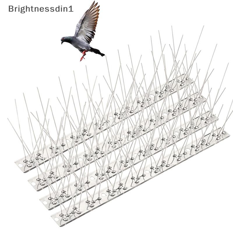 [Brightnessdin1] สแตนเลส Pigeon Spikes bird Repeller Deterrent Traps ...