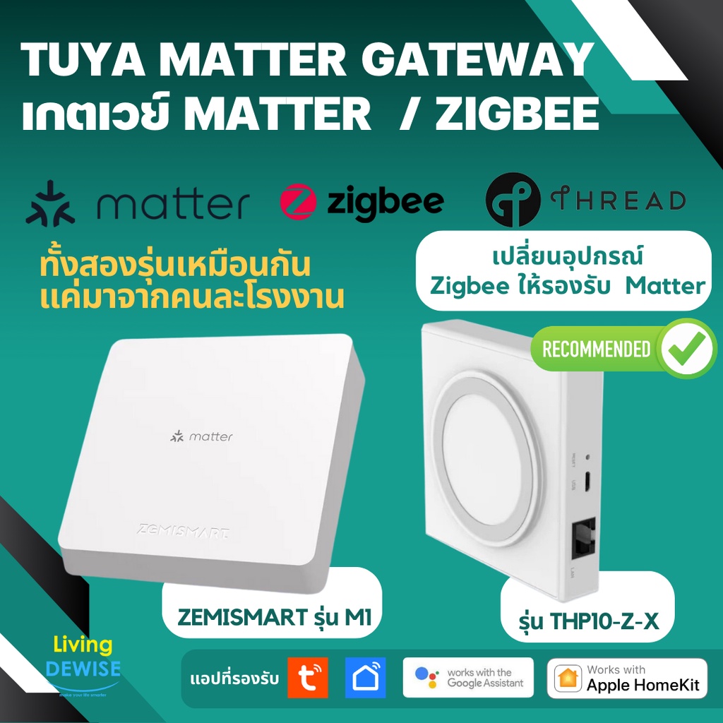 Tuya เกตเวย์ Zigbee Matter Gateway (M1, THP10-Z-X) สำหรับเชื่อมอุปกรณ์ ...