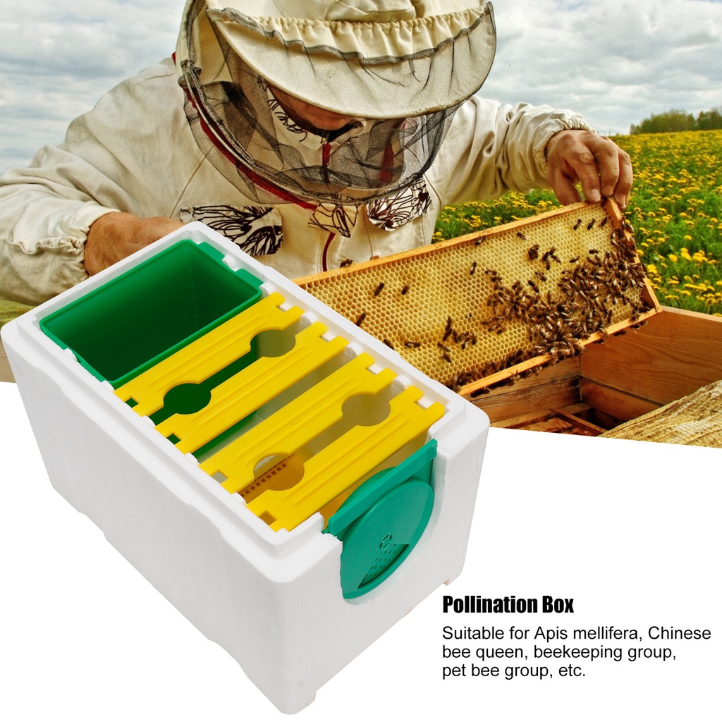 GardeingH Queen Bee Mating Box Pollination กล่องโฟมเฟรมเครื่องมือการ ...