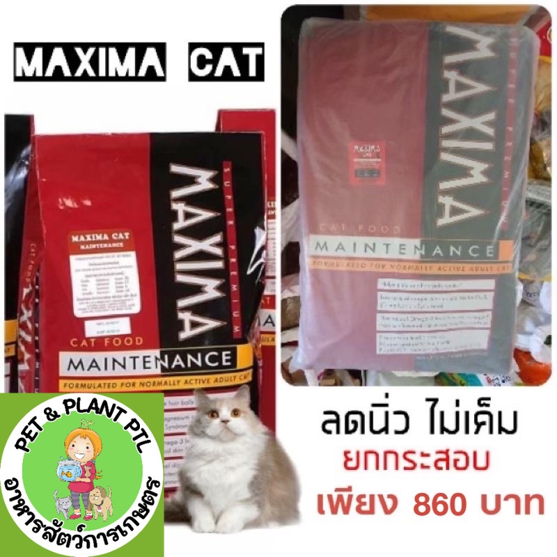 Maxima Cat Food 15 Kg แม็กซิม่า ขนาด 15 กิโลกรัม 1 กระสอบ | Shopee Thailand