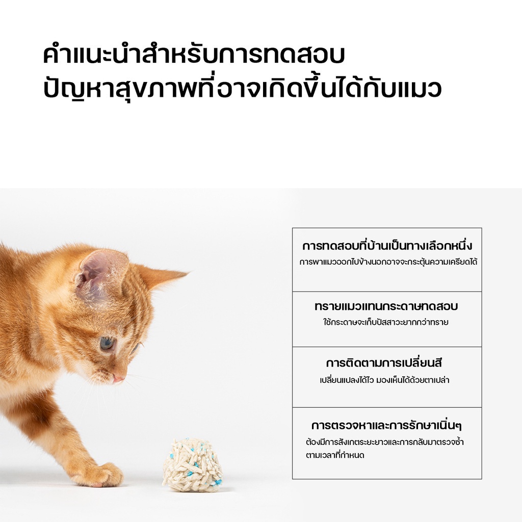 navipet pidan Tofu Cat Litter 6L with Hemoglobin Detect Particles ทรายตรวจเลือดในปัสสาวะได้ ทราย ...