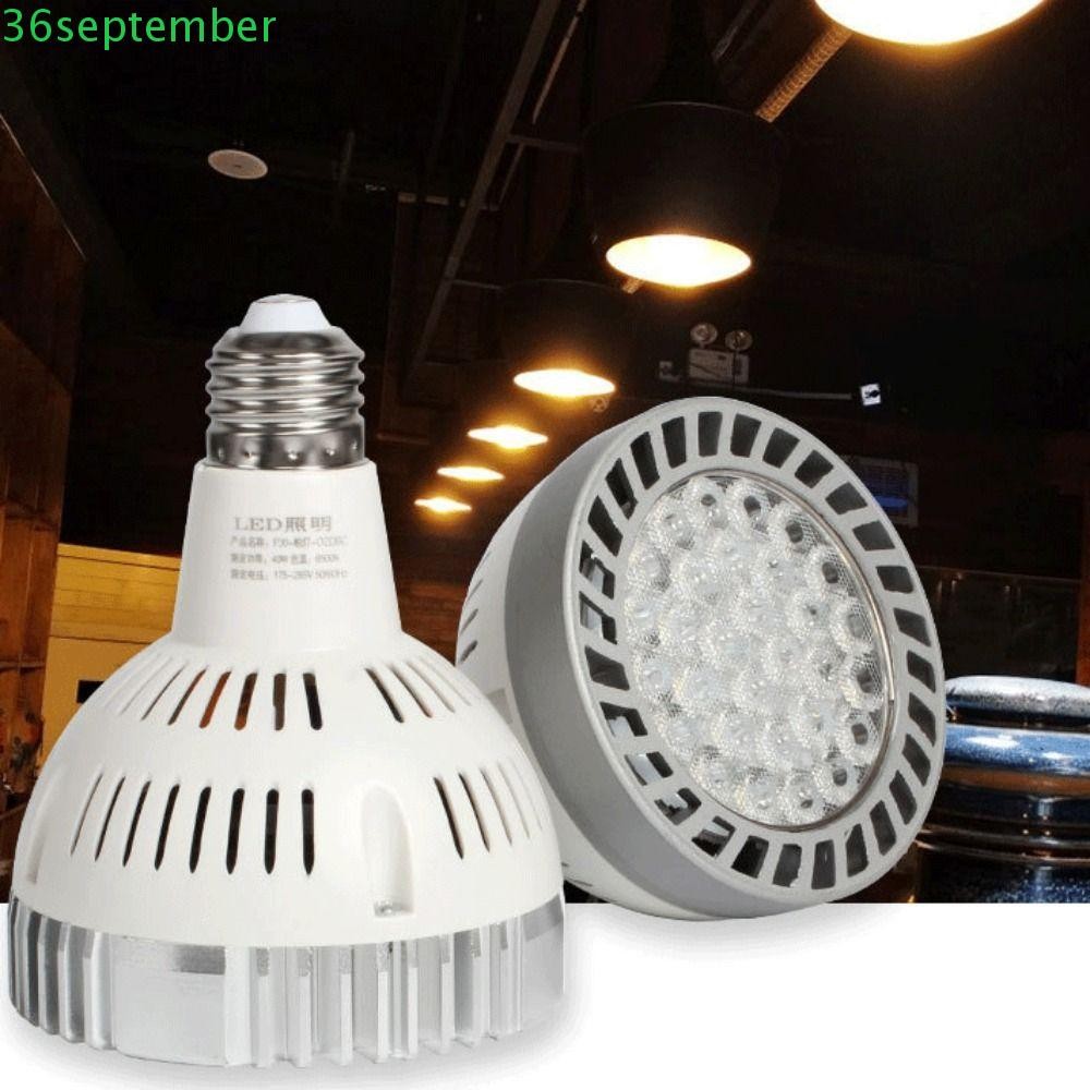 Spepember หลอดไฟ LED, High Output High Power Energy Lamp, Flood Lights ...