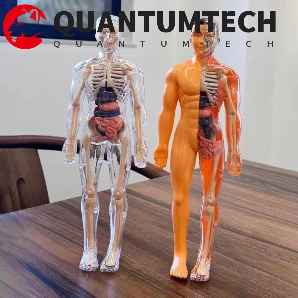 Quantumtech 3d ลําตัวมนุษย์รุ่น,พลาสติก DIY Mannequin วิทยาศาสตร์ความรู้ความเข้าใจปริศนาของเล่น ...