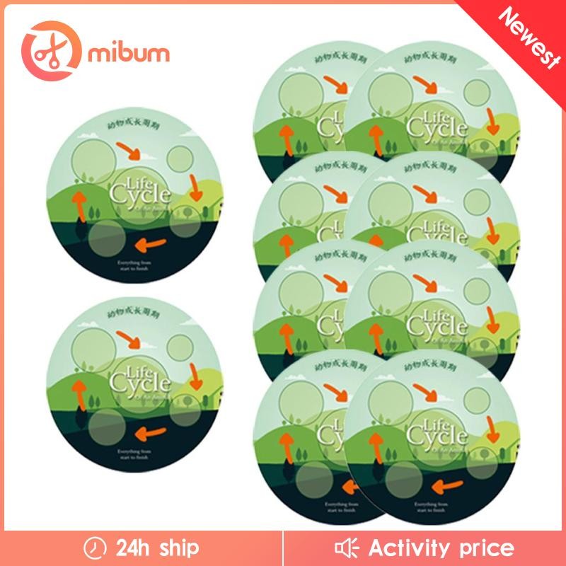 [Mibum] Life Cycle Board 10x Bulletin Cycle Floor Poster ห้องเรียนเด็ก ...