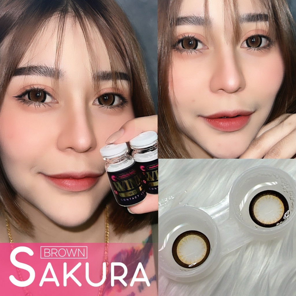 💋 มีค่าสายตา 💋 Wink sakura Gray Brown 💋 บิ๊กอาย รายเดือน มีอย แถมตลับ ...