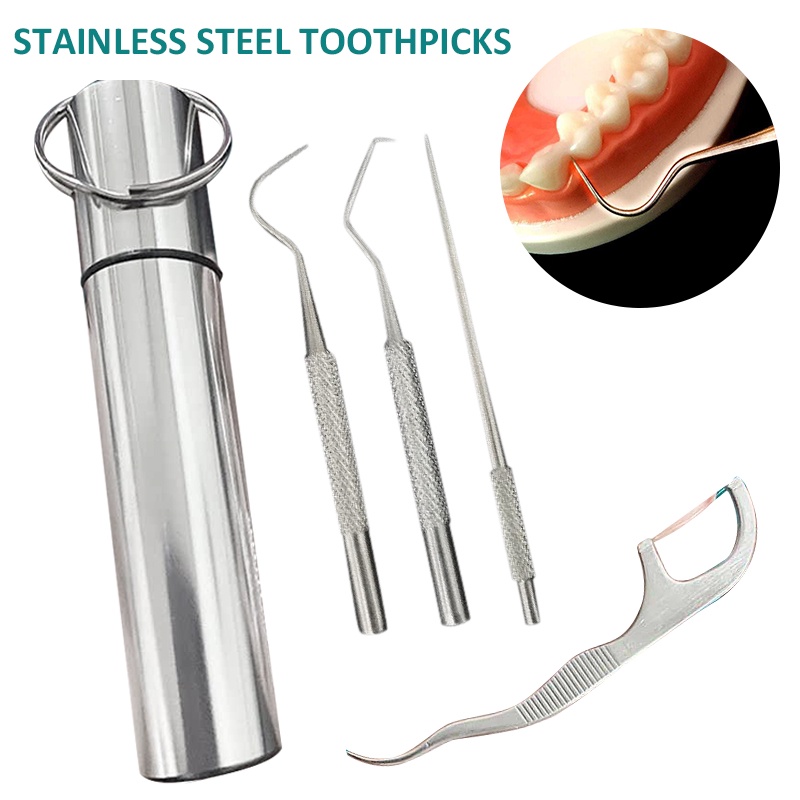Stainless Steel Reusable Toothpicks with Storage Box Dental Floss Tool ...