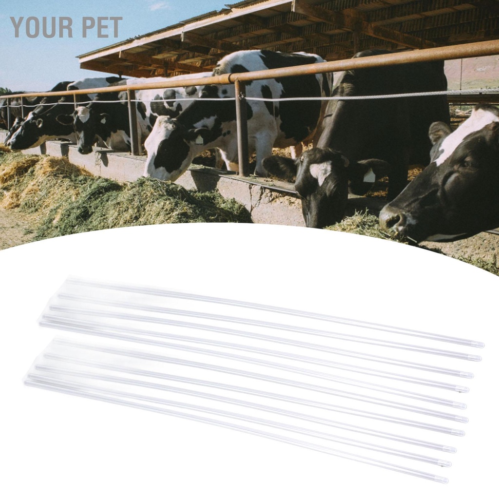 Your Pet 100PCS Breeding Rods ทิ้ง Catheter Tube การผสมเทียม PE Fine ...