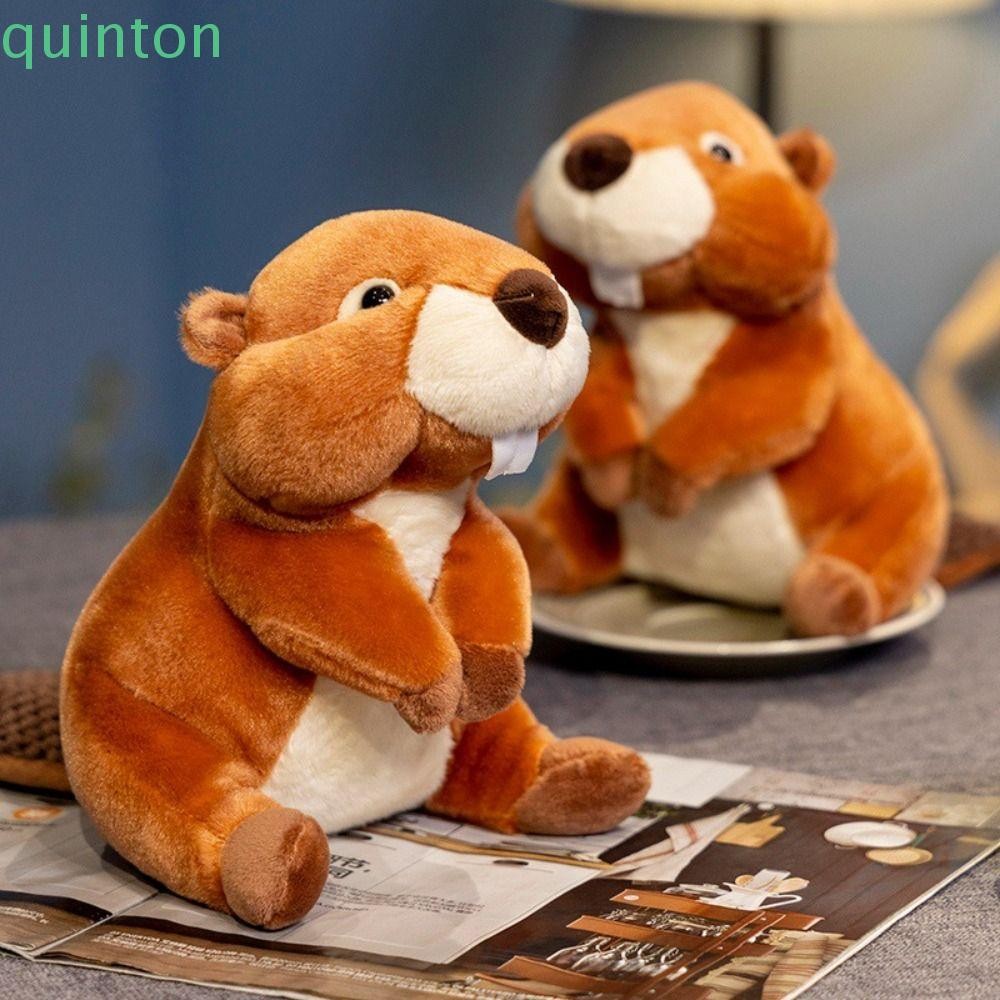 Quinnton Beaver ของเล่นตุ๊กตา, Soft Fluffy จําลอง Beaver ตุ๊กตา,ตุ๊กตา ...