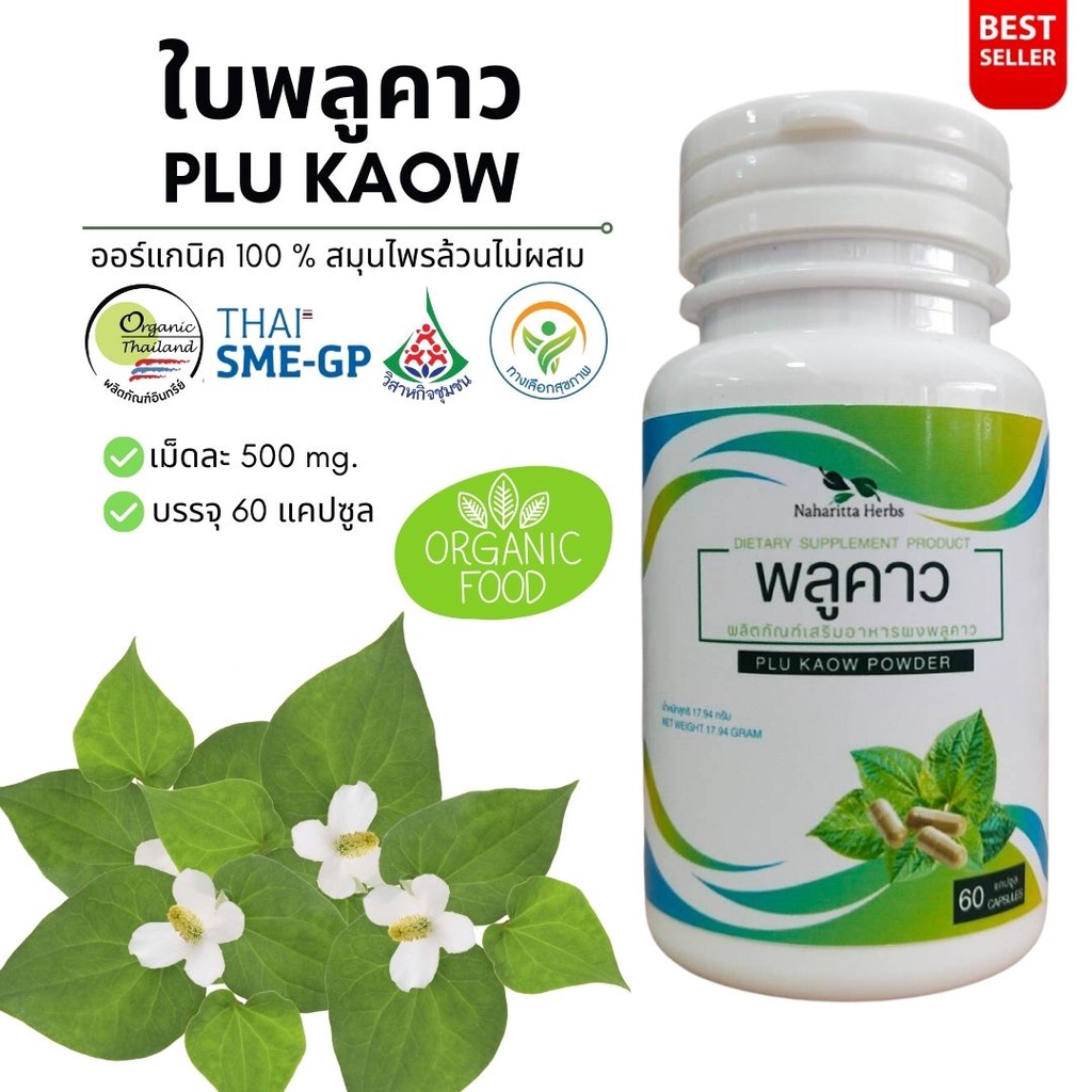 ใบพลูคาว PLU KAOW 100% 60cap. คุณภาพดี | Shopee Thailand