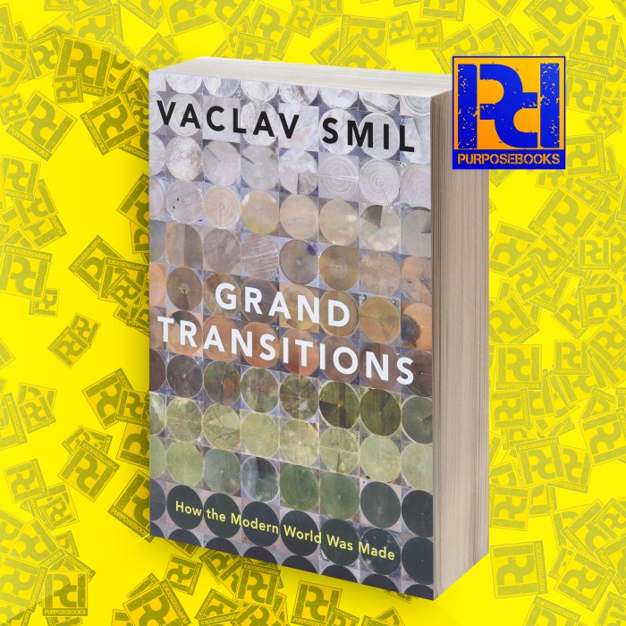 Grand Transitions: How the Modern World Was Made Vaclav Smil (หนังสือ ...