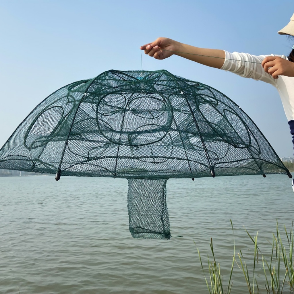 Net Bat Quai Catching Fish, Trach, Eel, Crab, Shrimp, Umbrella Cage ...