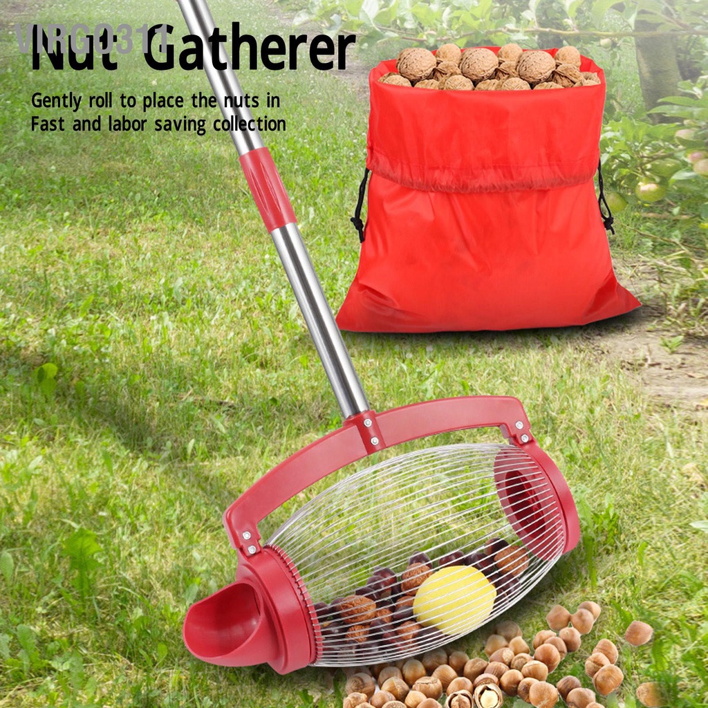 Virgo311 Nut Gatherer ปรับยาวประหยัดแรงงาน Pecan Walnutp Chestnut Golf ...