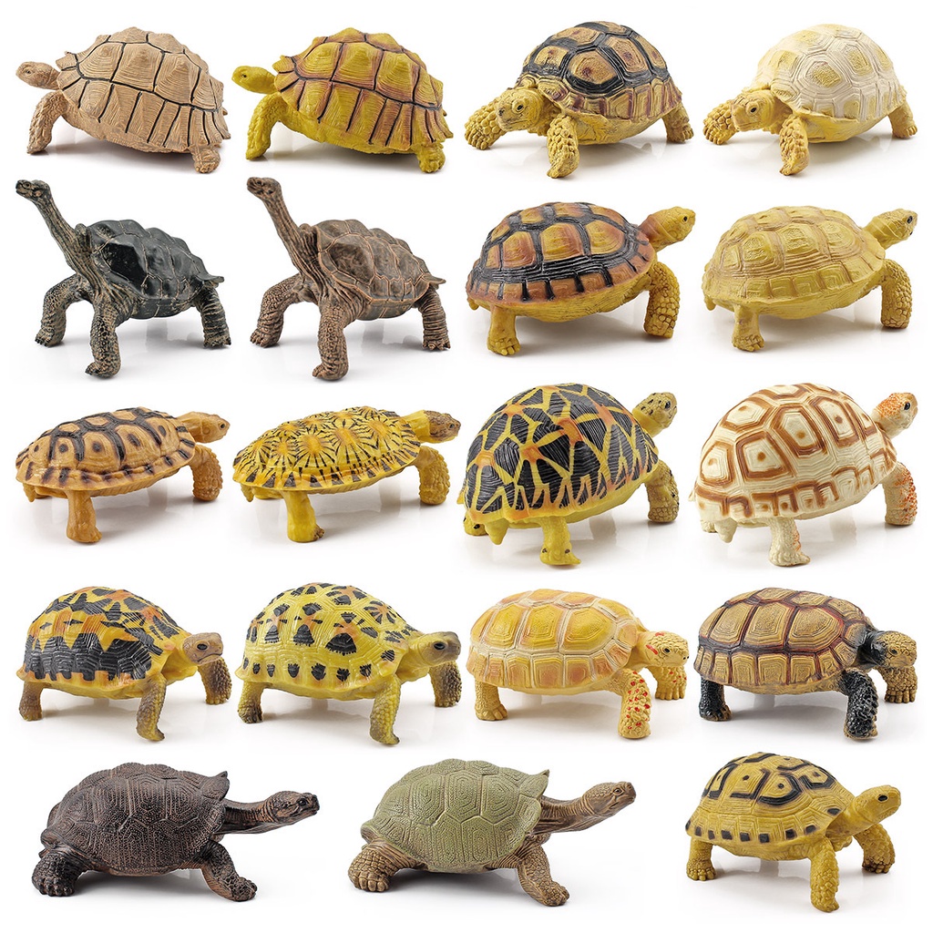 Reptile model, tortoise, elephant, turtle, star turtle, cognitive ...