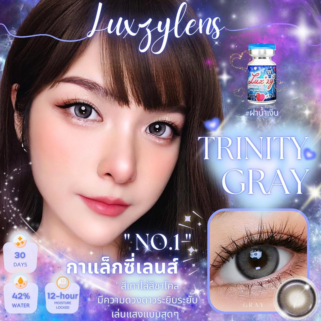 🔥คอนแทคเลนส์ 💗ขนาดกลาง💗 Trinity (Luxzylens) สี : Brown / Gray | Shopee Thailand