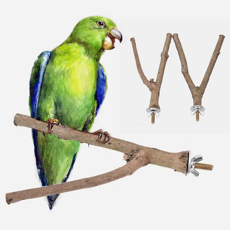 Pet Parrot Raw Wood Stand Rack Toy with Y Shape Branch Perches for Bird ...