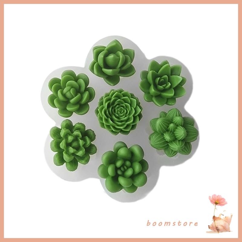 Boom Easy Demold แม่พิมพ์ซิลิโคนสําหรับหัตถกรรมพืชอวบน้ําคริสตัลยิปซั่ม ...