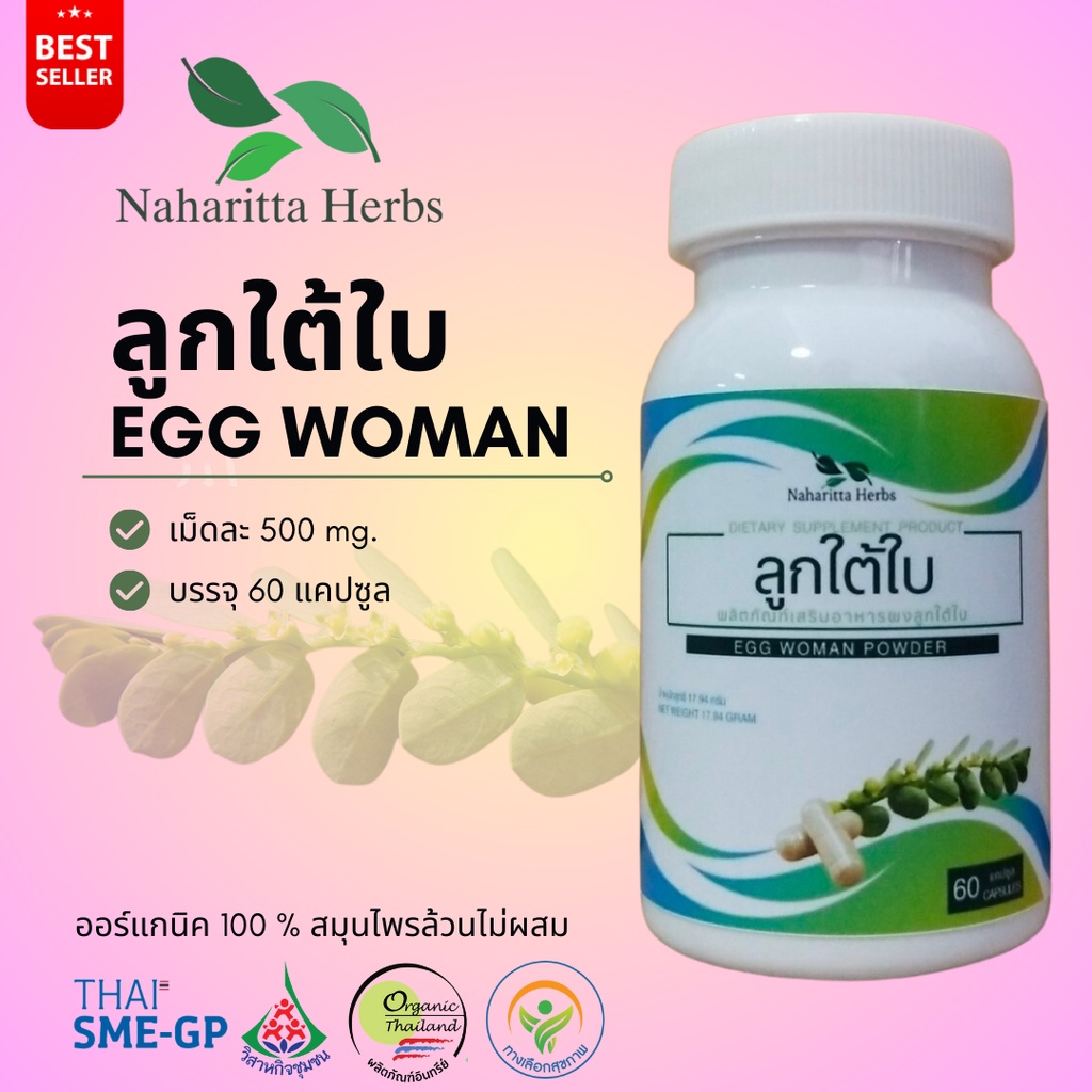ลูกใต้ใบ Egg Woman 100% 60cap. เลือกขนาดได้ในตัวเลือก | Shopee Thailand