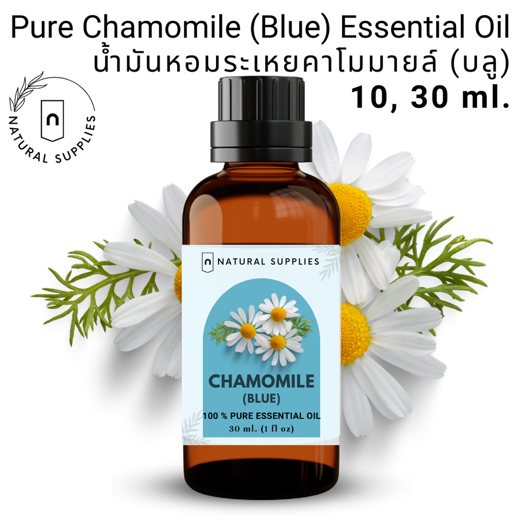 Pure Chamomile (Blue) Essential oil น้ำมันหอมระเหย คาโมมายล์ (บลู ...